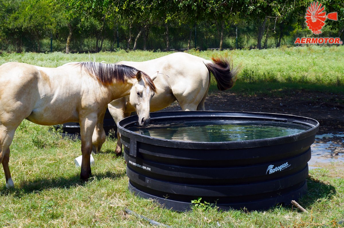 Aermotor - La Fábrica de Papalotes más grande de México